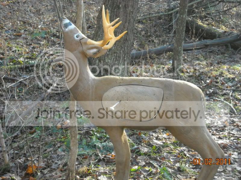 3D Archery For 2011 | Archery Talk Forum