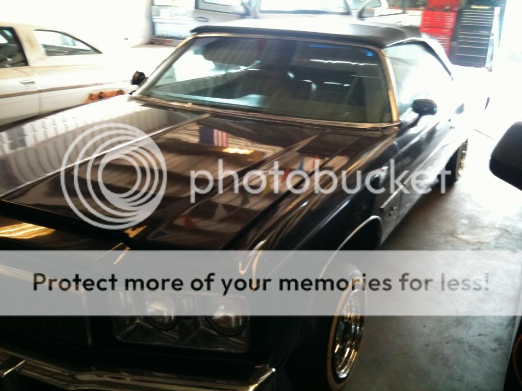 75 caprice convertible and 76 glasshouse 4 sale | Page 4 | LayItLow.com ...